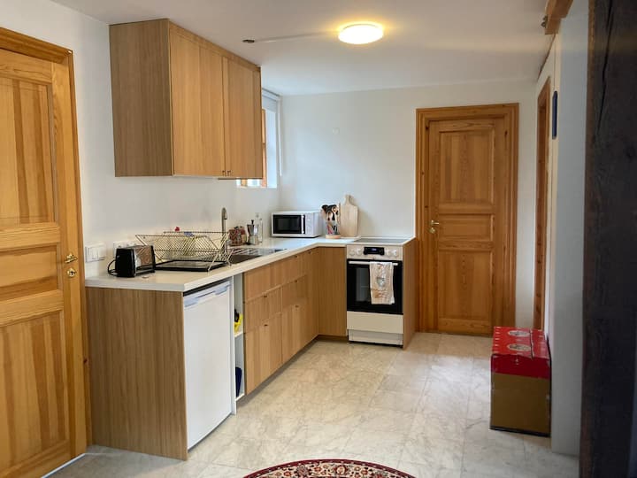 Lovely Apartment In Central Reykjavík - Reikiavik
