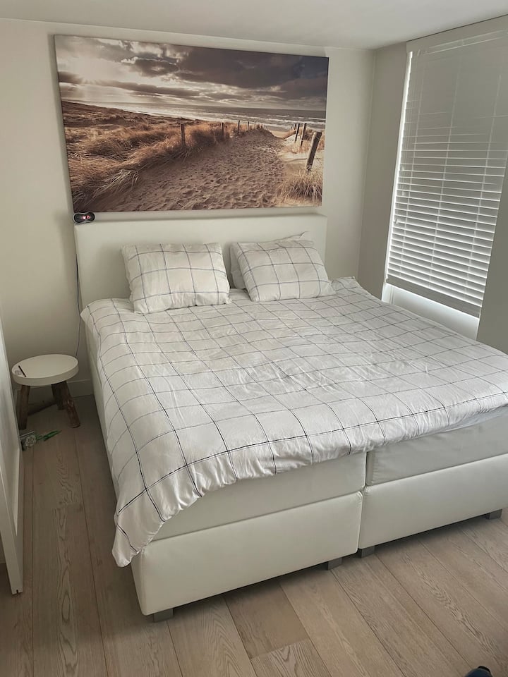 University Tilburg 013, Only Ladies - Tilburg