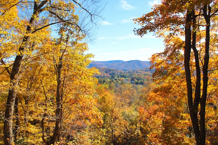 Long Range Views - Dog Friendly - Fire Pit - Boone, NC