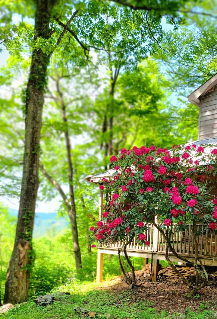 Long Range Views - Dog Friendly - Fire Pit - Boone, NC
