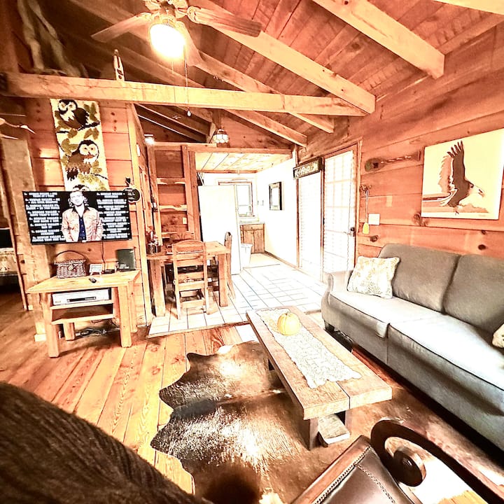 Mistletoe Cabin - Blue Ridge, GA