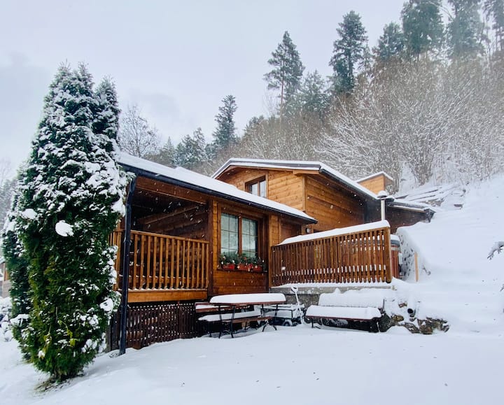 Mountain Cabin 3 Rocks W/jacuzzi Hot Tub & Sauna - Slowakei