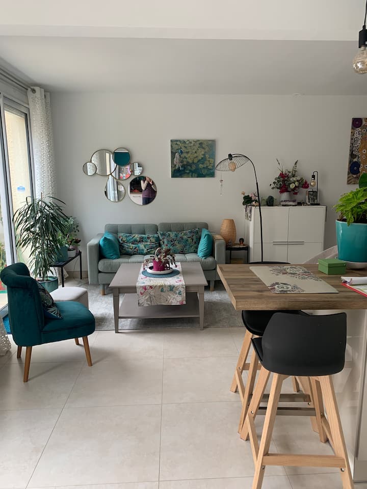 Chaleureuse Maison De Ville Avec Terrasse - Montpellier