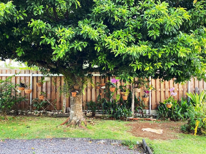 La Maison Des Orchidées - Guadeloupe