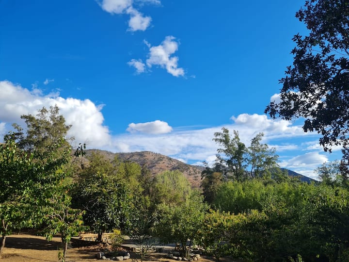 Cabaña Del Peumo, Campo Y Naturaleza. - Curacavi