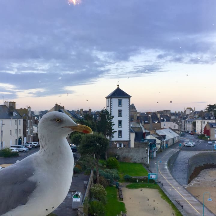 Appartement Panoramique Sur La Baie De St-malo - Saint-Malo
