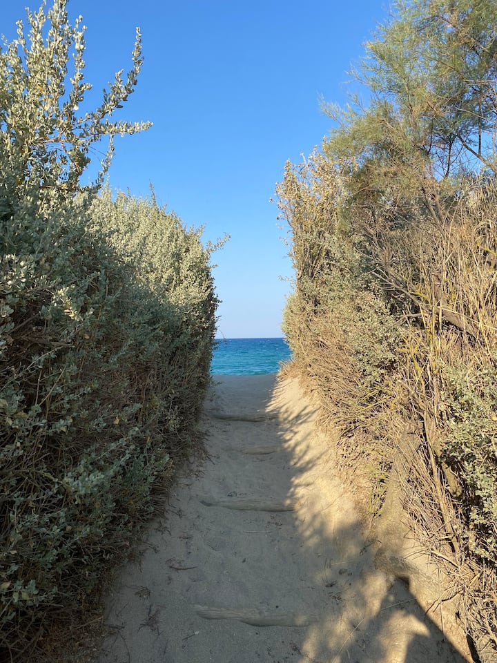 T2 Accès Direct Plage Jardin Parking Privé - Saint-Cyprien
