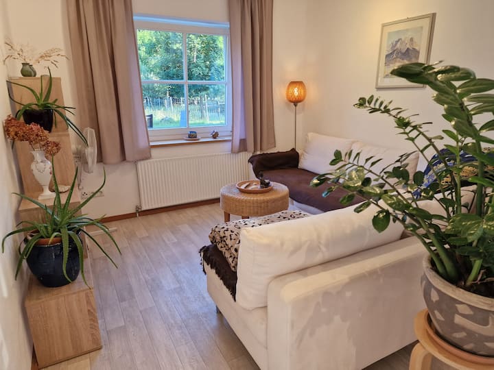 2-room Apartment With Alpacas At The Chiemsee Lake - Chiemsee
