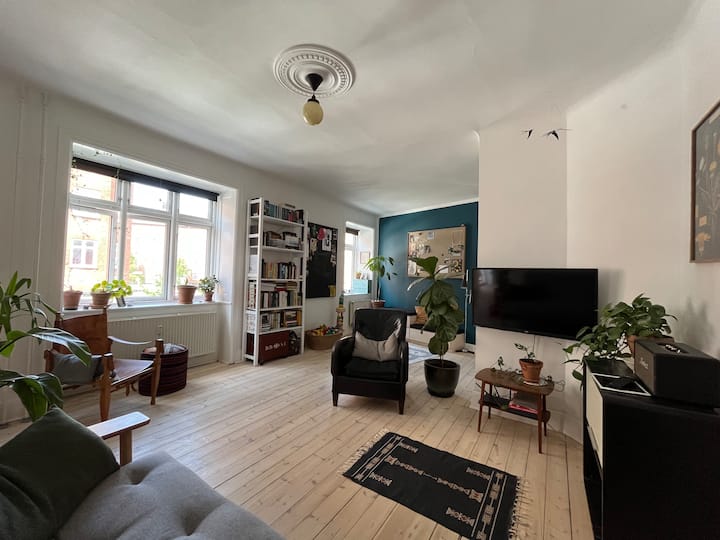 Large Flat With 2 Bathrooms, In Copenhagen V. - Copenhagen