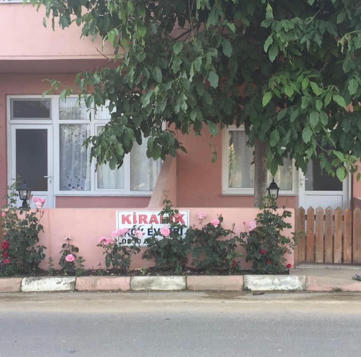 Tanişan Pansi̇yon - Erikli