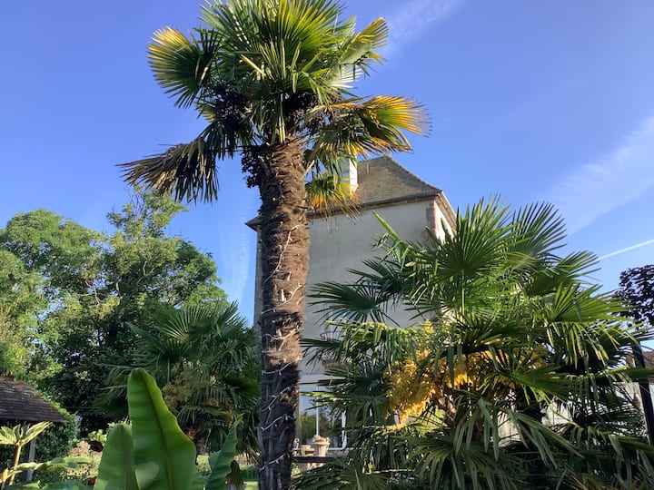 Château Des Brosses - Montceau-les-Mines