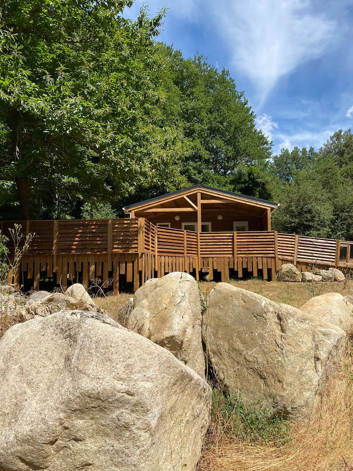 Chalet De Luxe U Castagnu - Vizzavona
