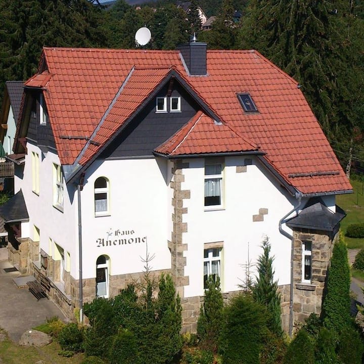 Heine-friedegerns Fewo In Jugendstilvilla - ヴェルニゲローデ