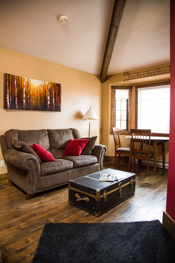 Lovers Suite With Fireplace And Jacuzzi. Dogs Ok. - Estes Park, CO