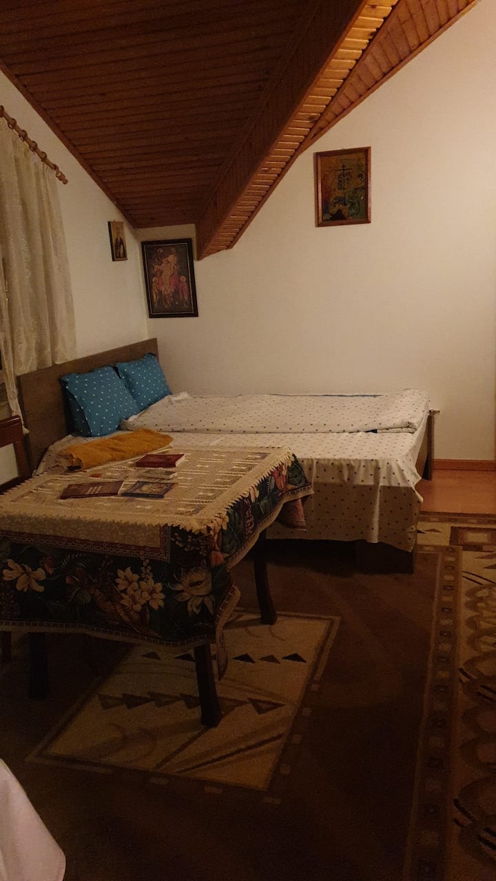 Vilă Primitoare Cu Gradină - Constanța