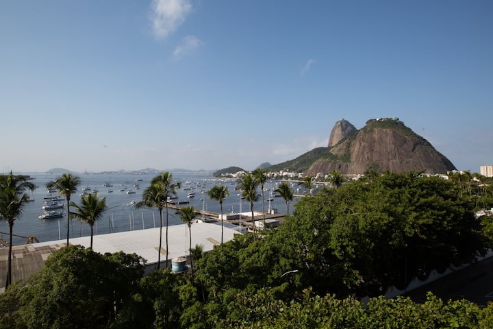 Apartamento Com Linda Vista Para O Pão De Açucar - Río de Janeiro