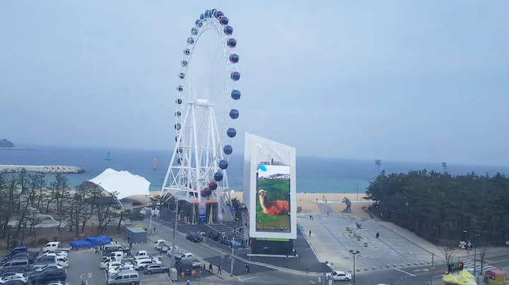 썸머타임10/오션뷰/속초해변30초/고속터미널1분 / 넷플릭스/대관람차30초 - 속초시
