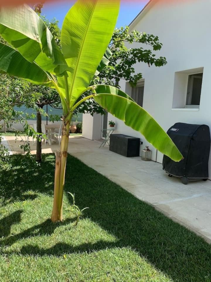 Maison Terre Mer Montpellier - Montpellier