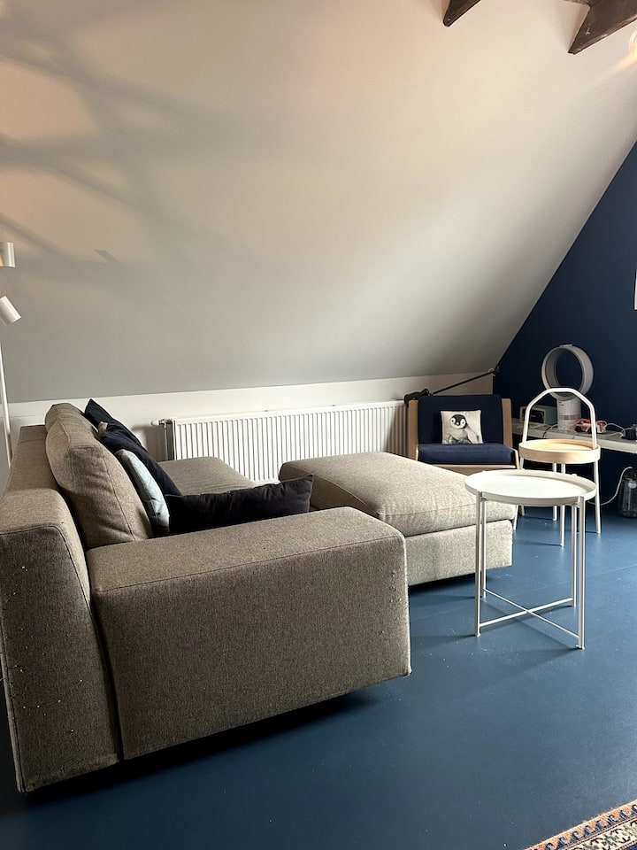 Bed & Bikes - Loft In Oud-west - Amsterdam