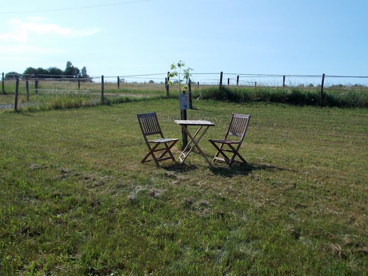 Emplacement Tente Avec Cuisine Orléans-chambord - Loiret
