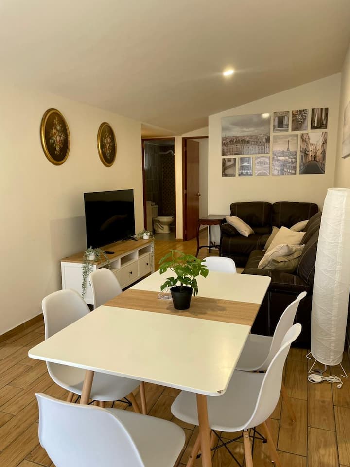 Newly Renovated Apartment - Puebla