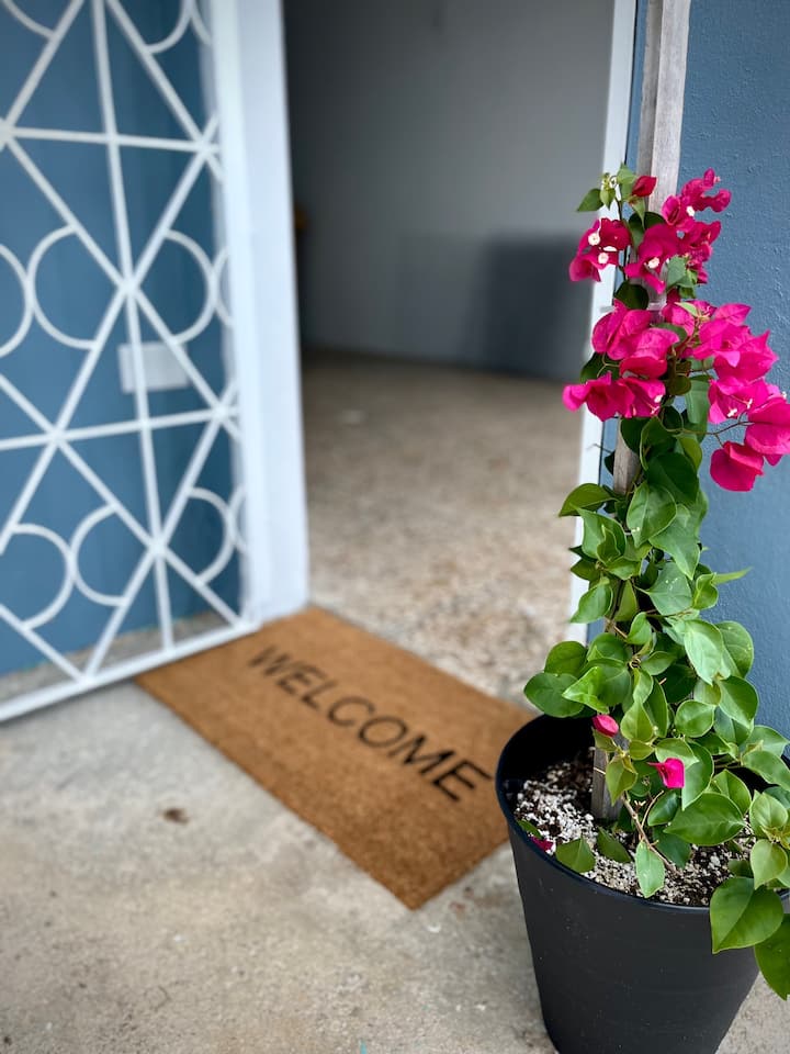 Whole 1 Bedroom House At Ponce, Puerto Rico! - Ponce
