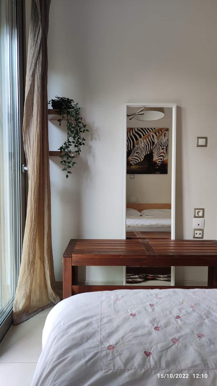 Joli Appartement Ensoleillé Proche De L'acropole - Athens