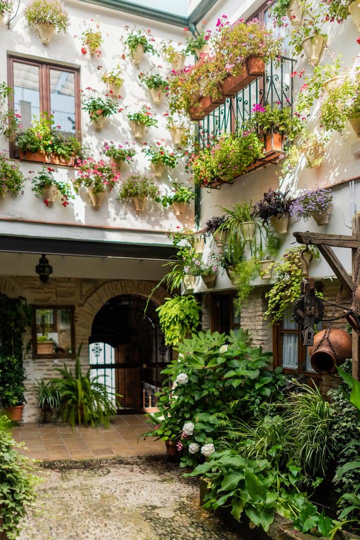 Sultana 2. Precioso Apartamento En Patio Cordobés. - Córdoba