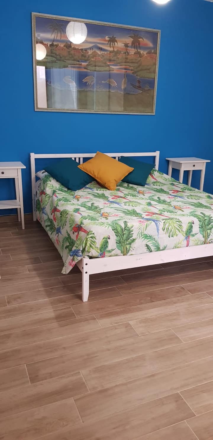 Rustico Punta Di Sabaudia - Sabaudia