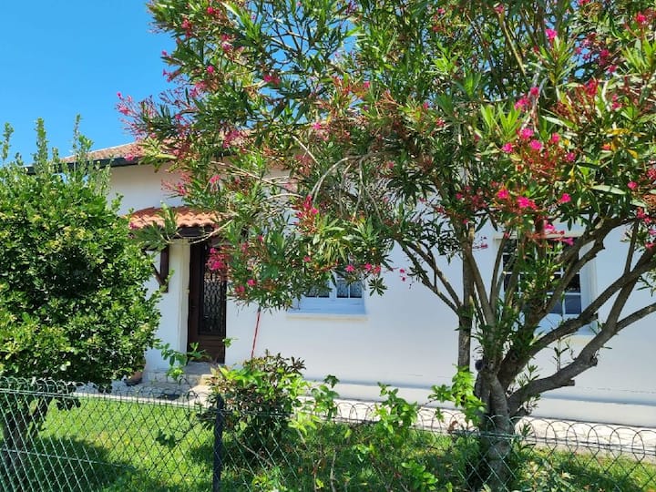 Maison  Mitoyenne Avec 1 Place De Parking - Tarnos