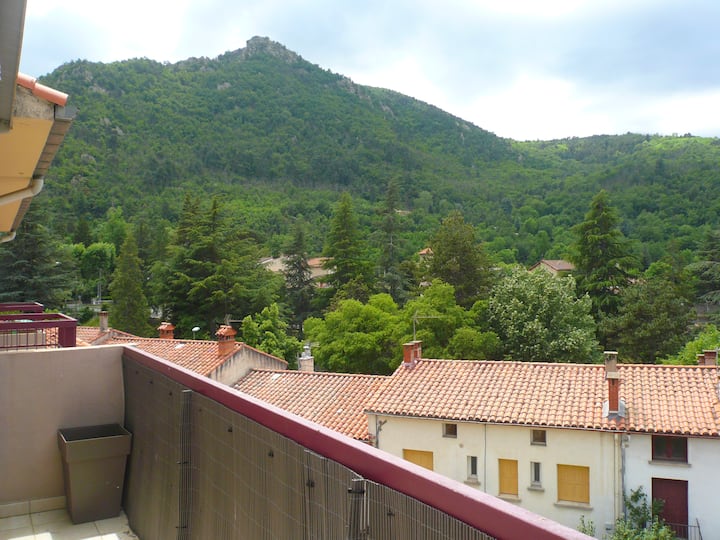 Superbe Appartement Avec Parking Privé - Vernet-les-Bains