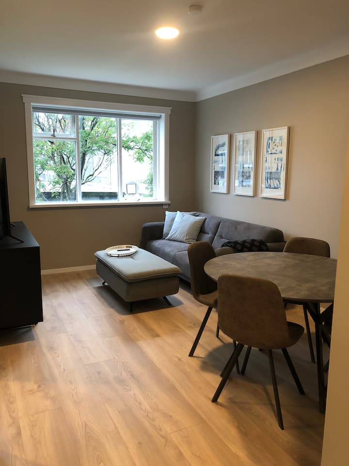 Cozy 2-bedroom Apartment In Downtown Reykjavík - Reykjavik