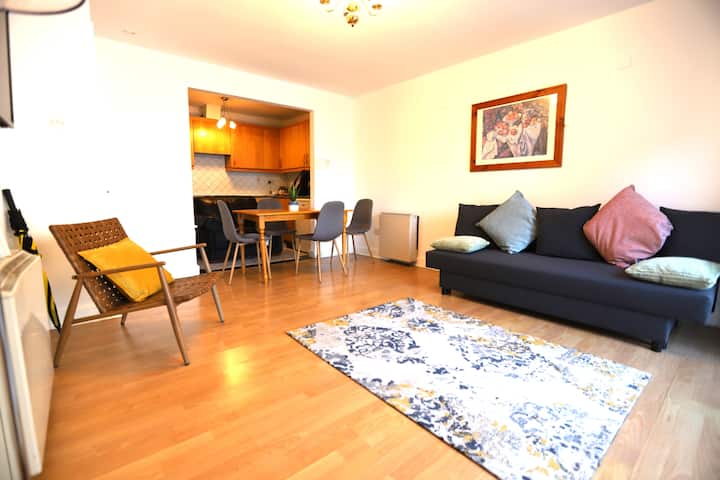 Central 2 Bedroom Condo - Dublin
