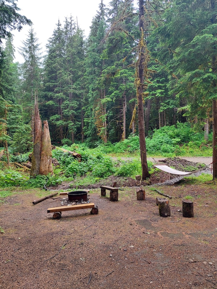 Old Growth Heaven -Odin's Clearing Campsite - Terrace