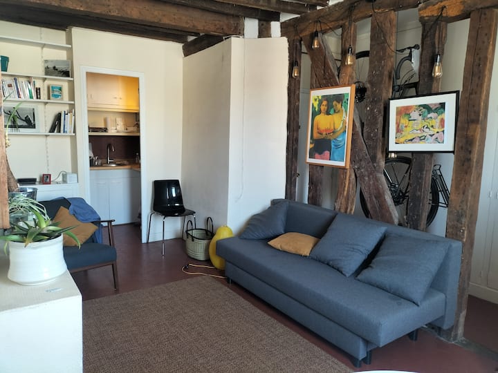 Quiet Flat In The Heart Of Paris - Paris