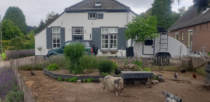 Woonboerderij (Met Dieren) Grenzend Aan De Veluwe - Doesburg