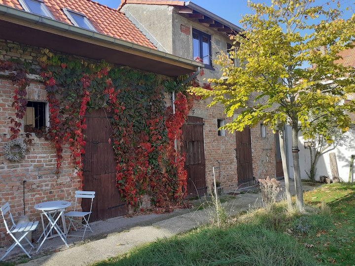 Prince  Rose, Rustig  Verblijf  Aan Zee. - Ostende