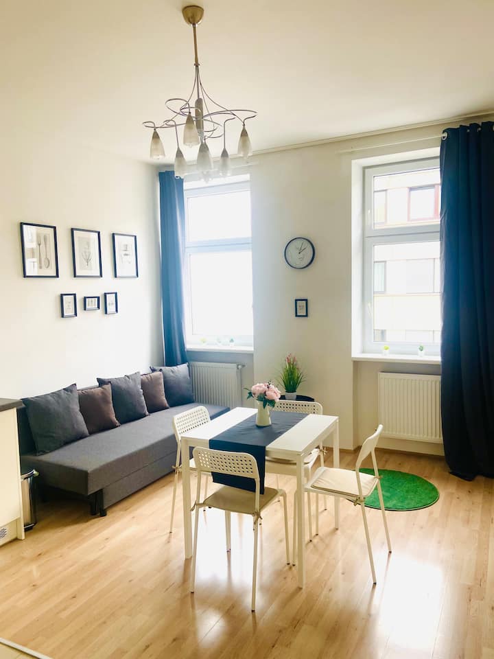 The Beethoven Apartment - Vienne