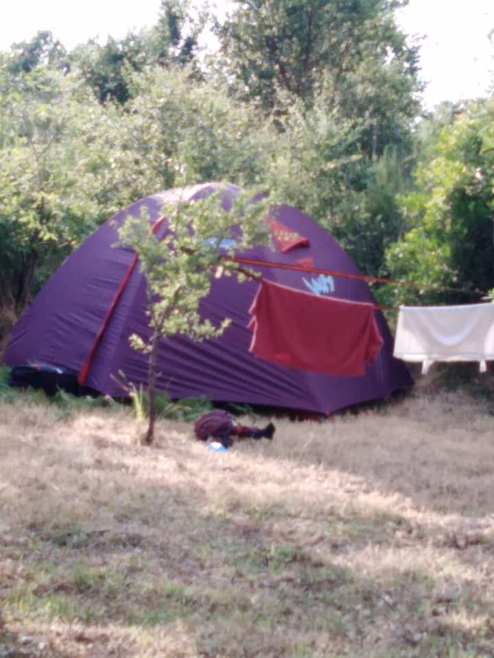 Calabria Incontaminata 
Vista Dalla Nostra Tenda - Lamezia Terme