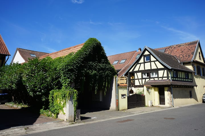 Appartement Dans Maison Alsacienne Parking Gratuit - Strasbourg