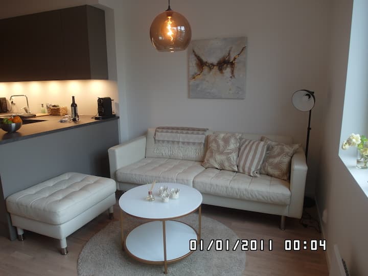 Helt Ny Og Velutstyrt Leilighet I Vakre Sandviken - Bergen