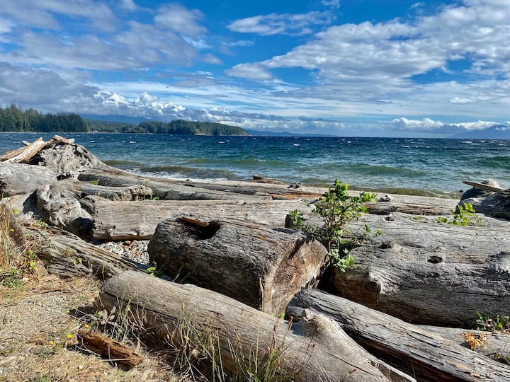 Waterfront 3–4 Bedrm Acreage - Powell River