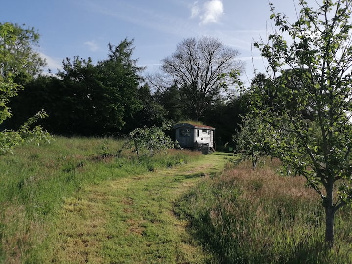 Wind In The Willows
Ecopod Holidays - Alton