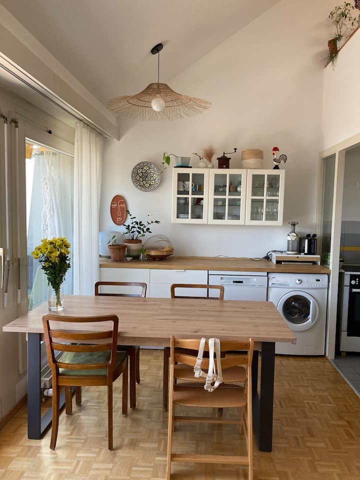 Superbe Appartement Au Calme - Geneva