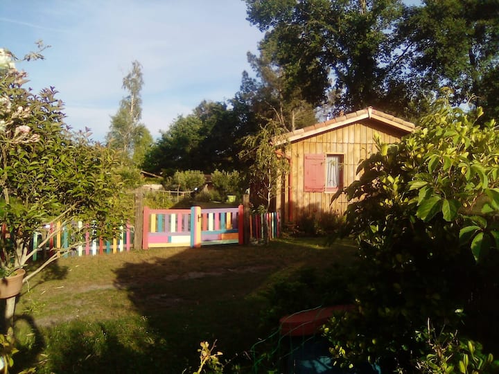 Chalet Charmant En Lisière De Forêt - Salles