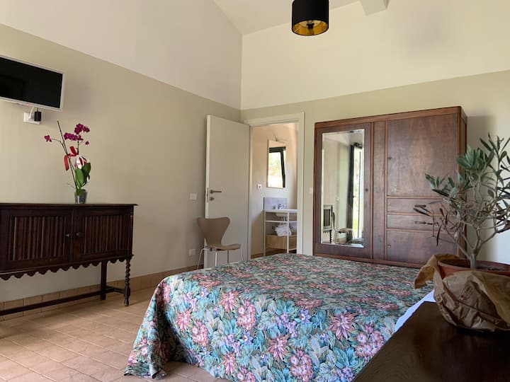 Suite Ginestra - Campiglia Marittima