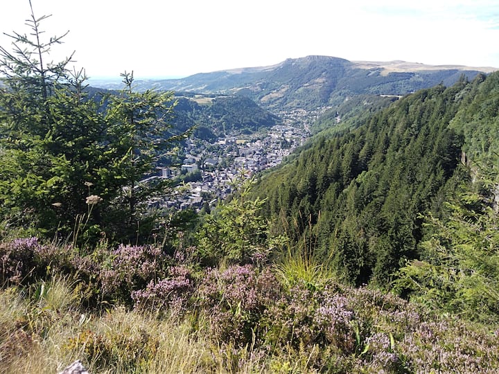 La Bourboule : Bel Appartement T3 Au Centre - La Bourboule