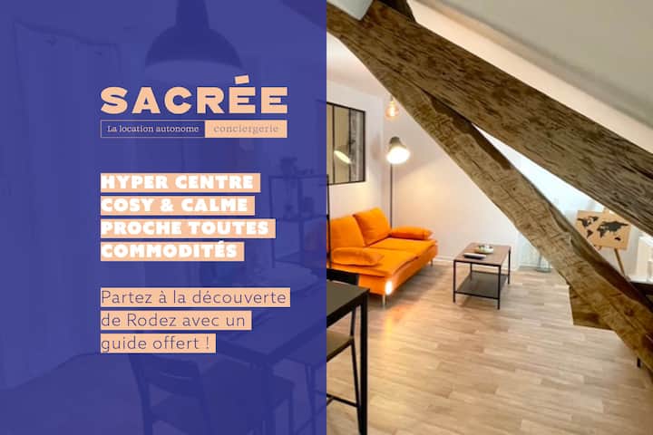 ★★★Appartement Cosy ★★★Hyper Centre★★★wifi★★★ - Rodez