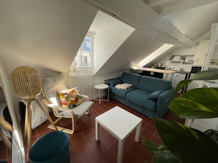 Appartement Mezzanine - Marais - Vue Sur Les Toits - Paris