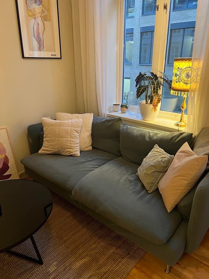 Supersentral 2-roms Leilighet - Oslo